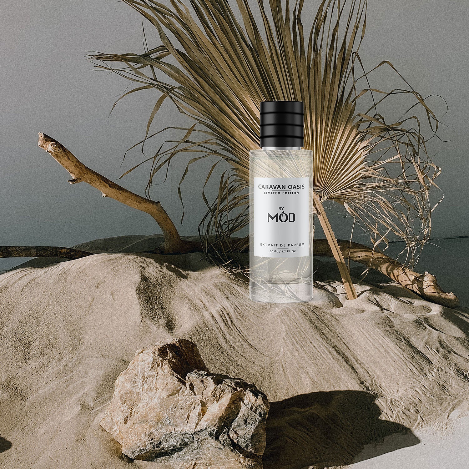 Limited Edition Men – Mod Fragrances